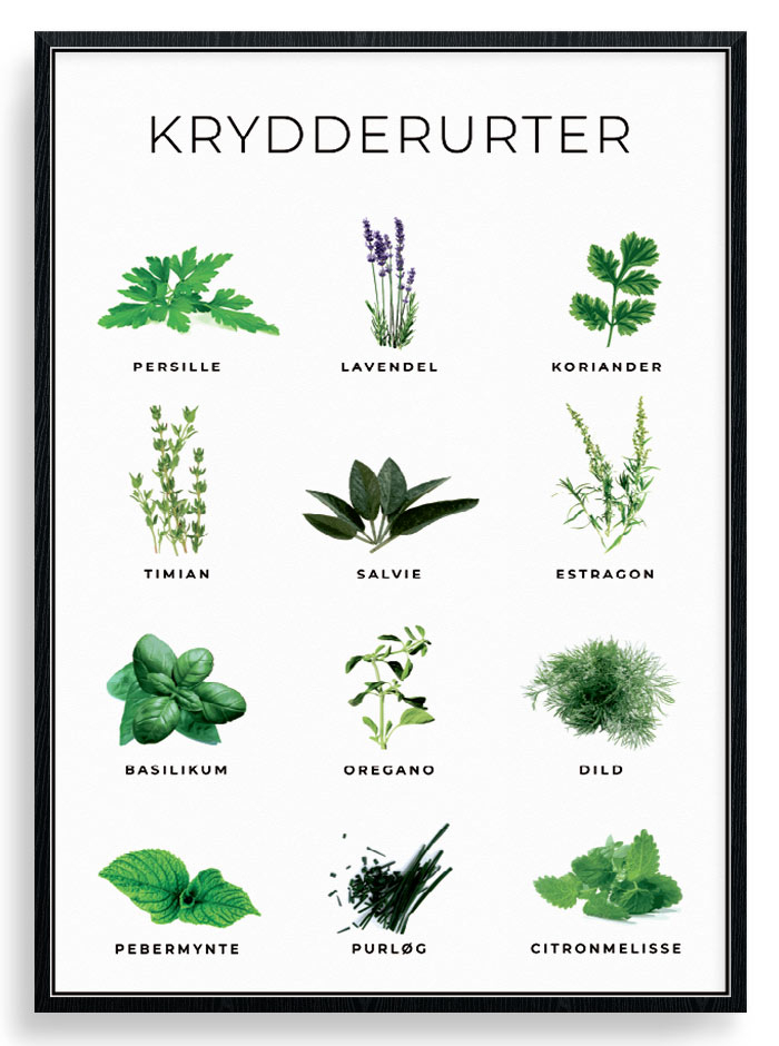 Forside / Plakater / Temaer / Mad & drikke / Krydderurter Plakat